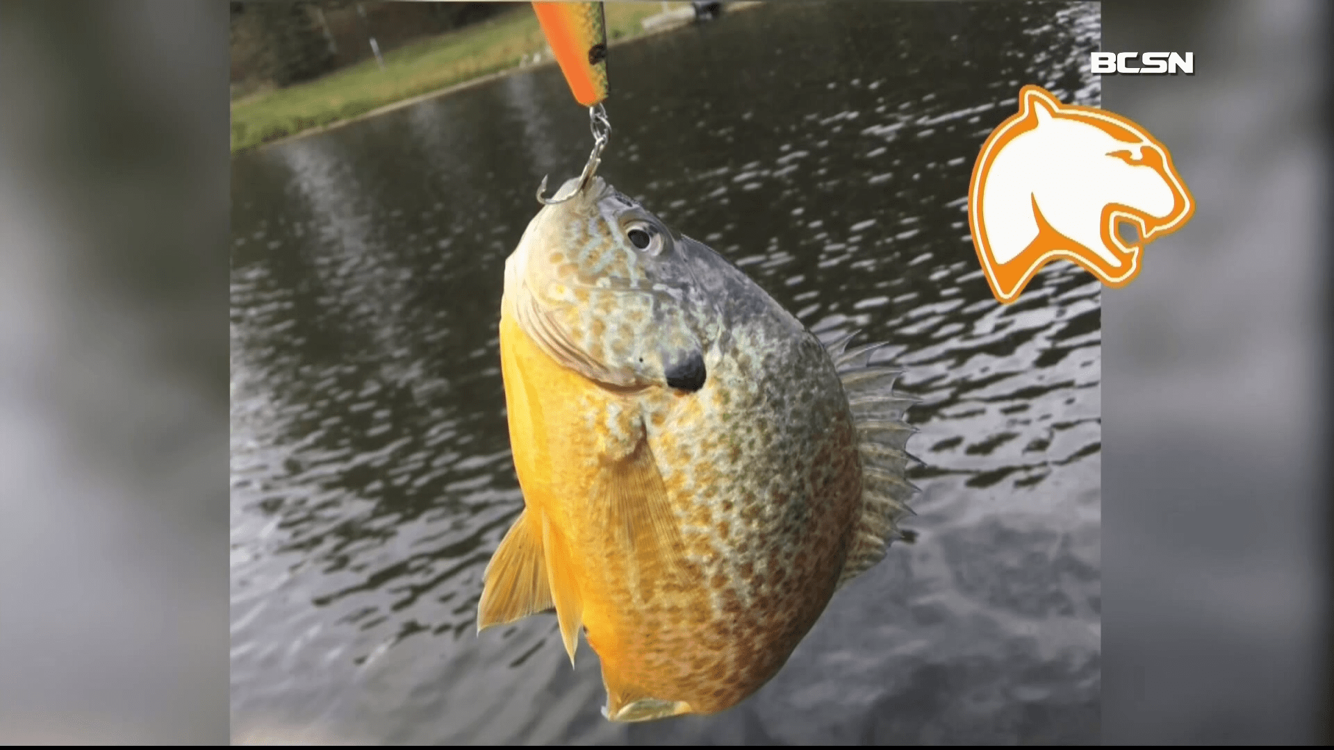 Two Minutes with Crandall: White Division Fish Finder | BCSN